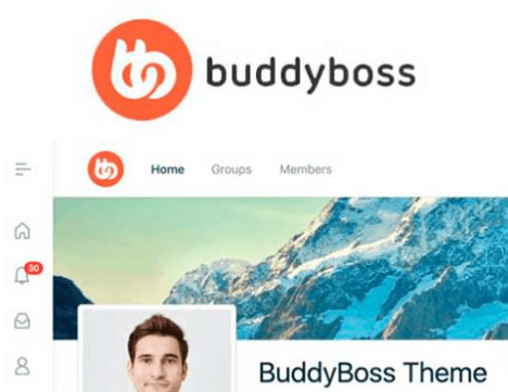 BuddyBoss Theme and Platform Pro - Mestres dos Plugins